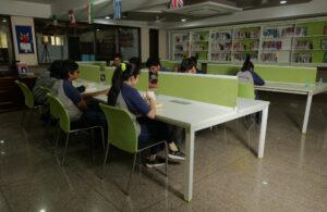 Role of Creativity, Activity, and Service in the IB Program