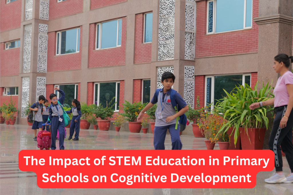 The Impact of STEM Education in Primary Schools